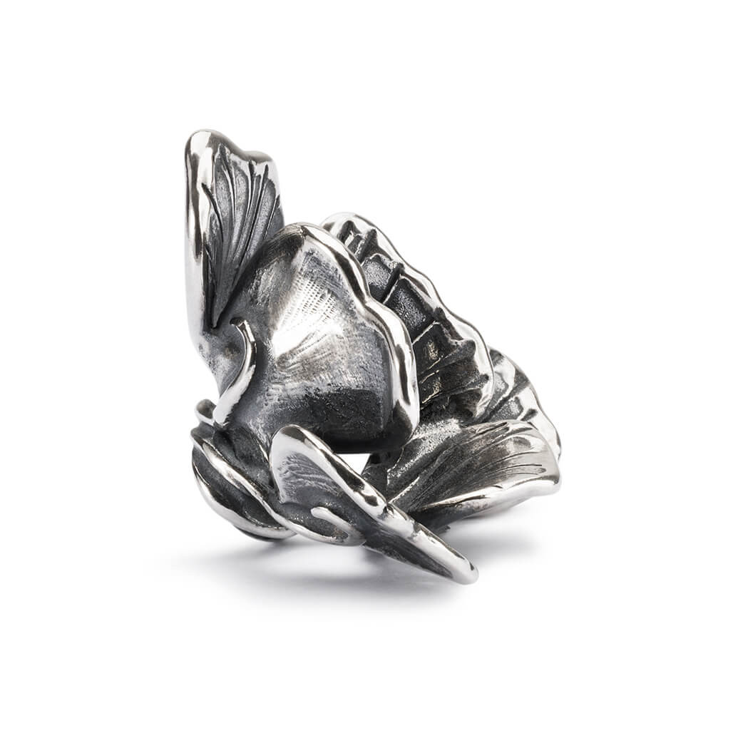 Buy Trollbeads Silver Charms | TrollbeadsAkron.com