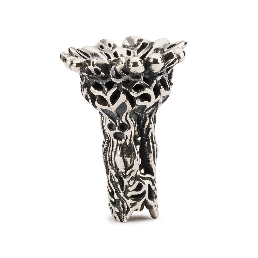 Trollbeads Paradox | Silver Trollbeads Charm | TrollbeadsAkron.com