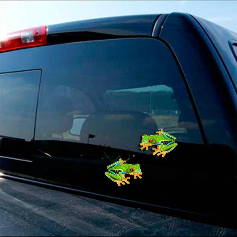 Red Eyed Tree Frog Sticker Amphibian Herpetology Decal