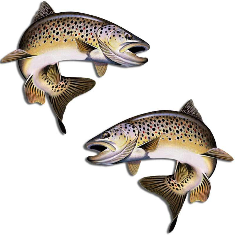 Brown Trout Fish Sticker - Aftershock Decals