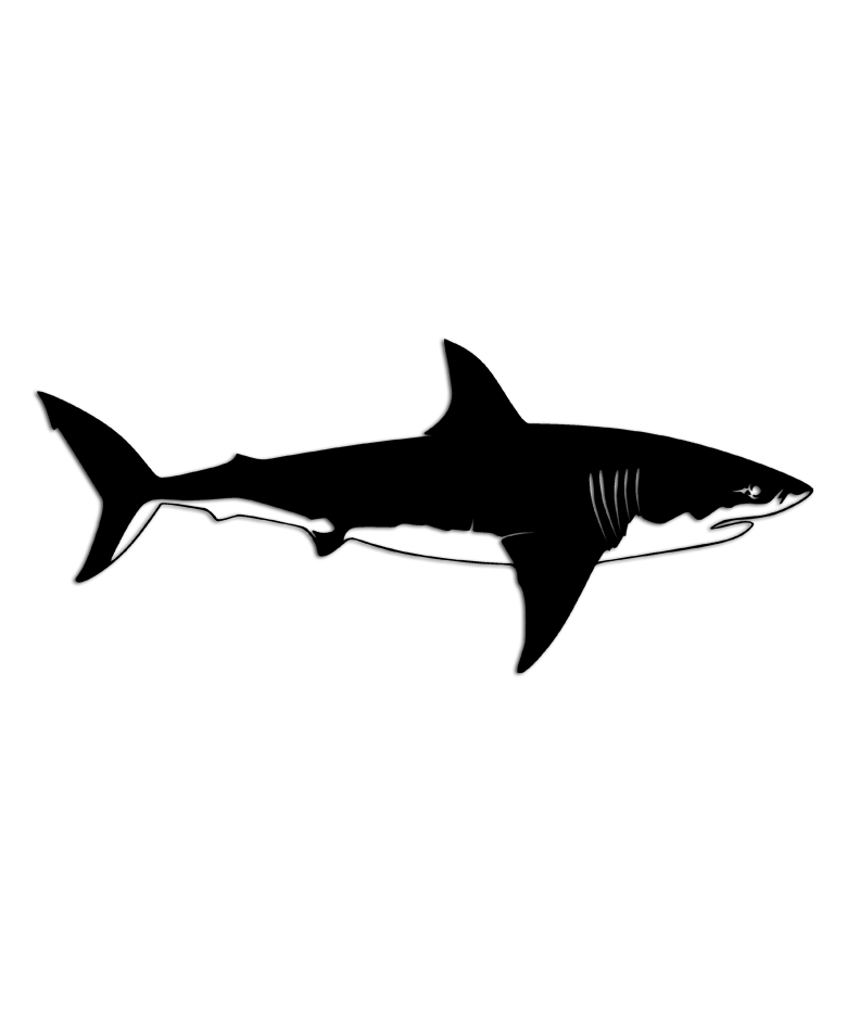 Great White Shark Profile Sticker - Aftershock Decals