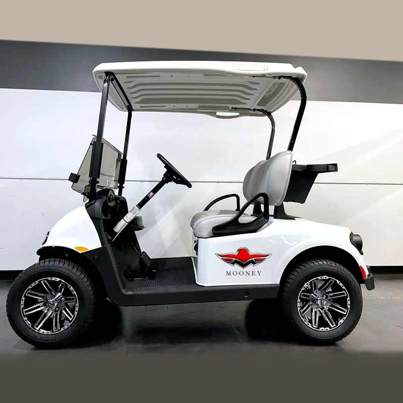 Mooney Aviation Airplane Decal Sticker