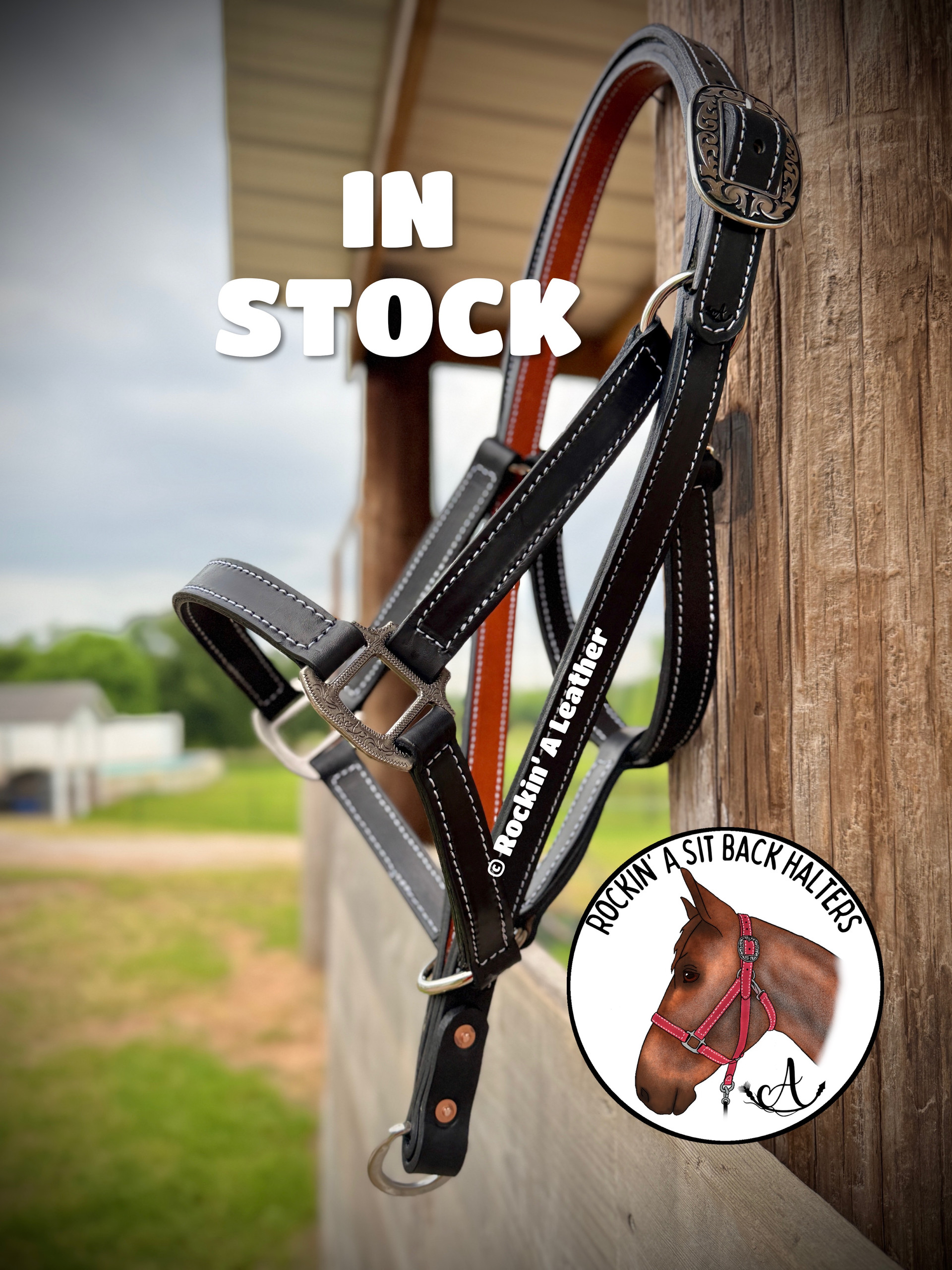 Halter w/ Sit Back Resist