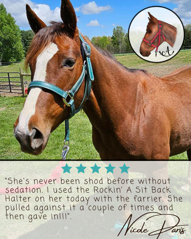 Halter w/ Sit Back Resist