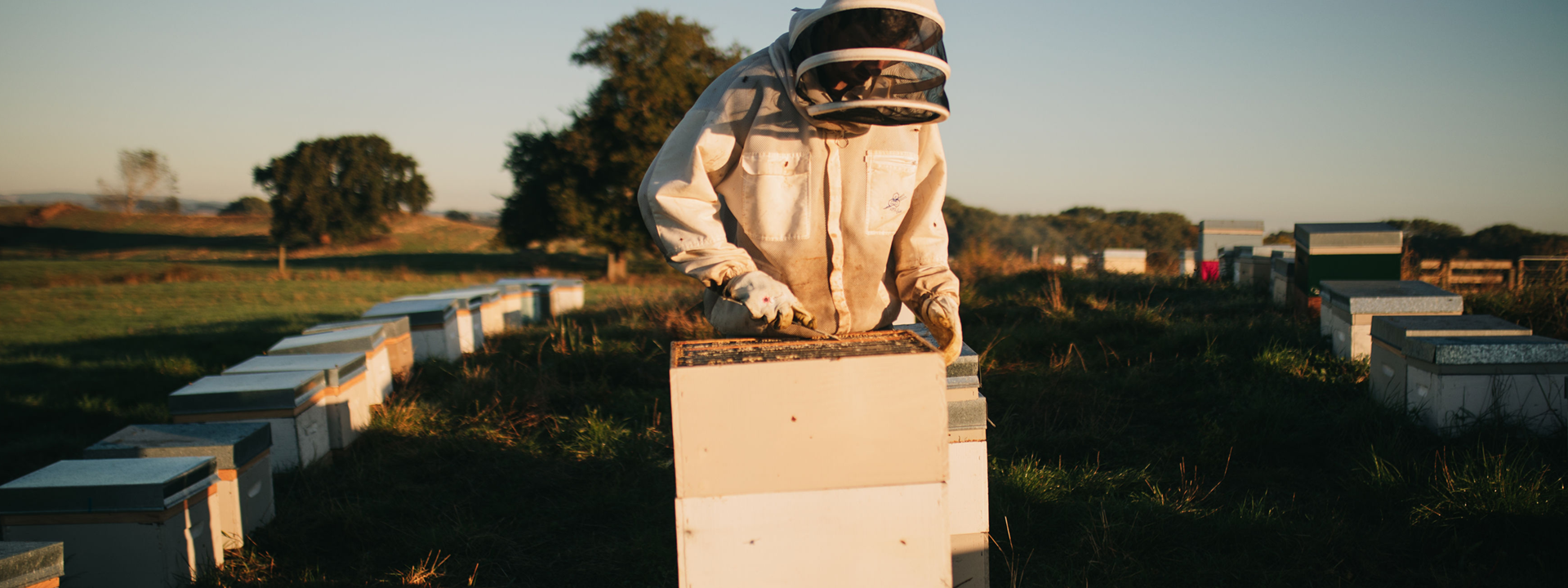 Beekeeping Supplies NZ | Ceracell