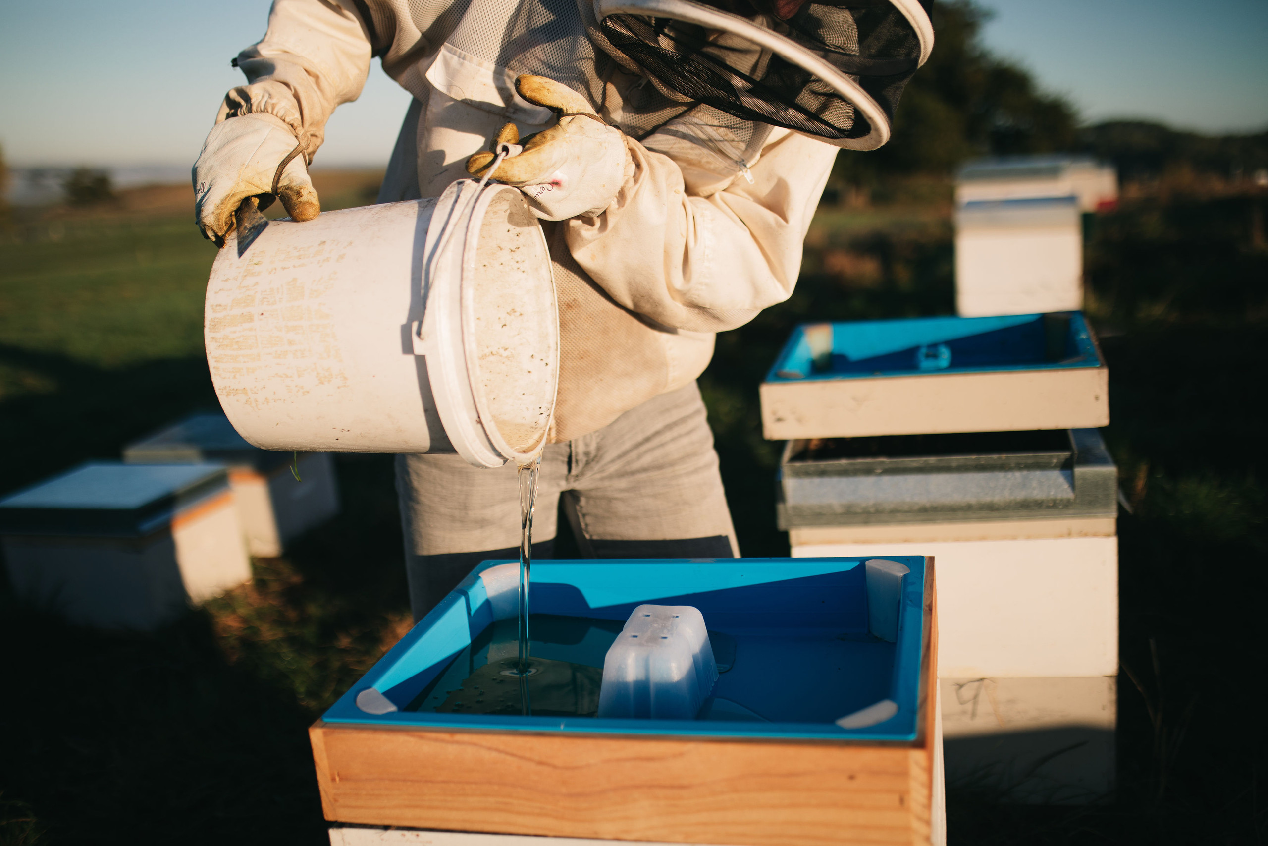 Feeding Your Bees Sugar and Feeder Styles - Ceracell Beekeeping Supplies