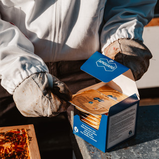 Apistan - (Packet of 10) Varroa Treatment - Beekeeping Supplies NZ ...