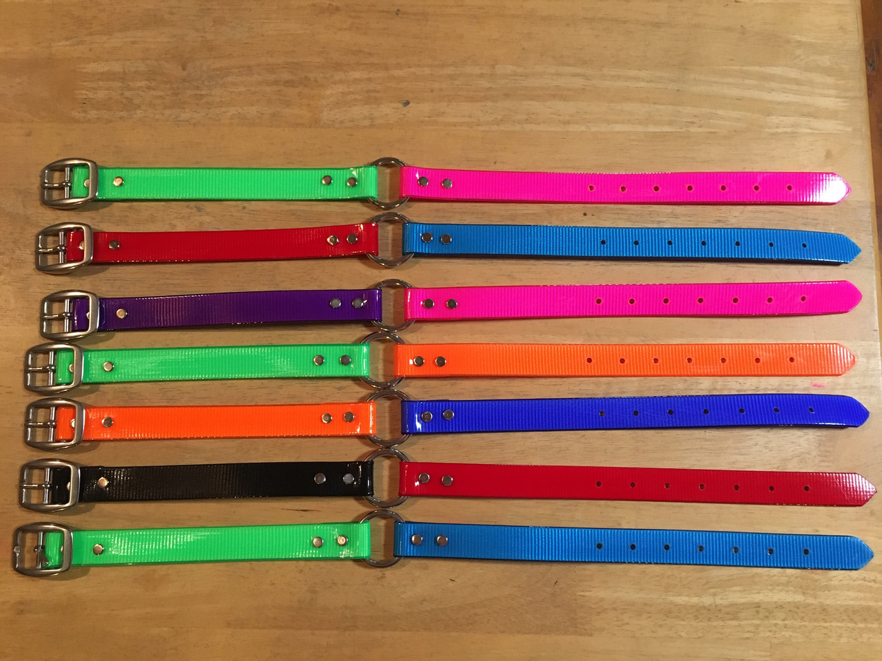 B2. DAY GLO COLLAR STAINLESS.2 - Wild Boar USA/Ugly Dog Ranch