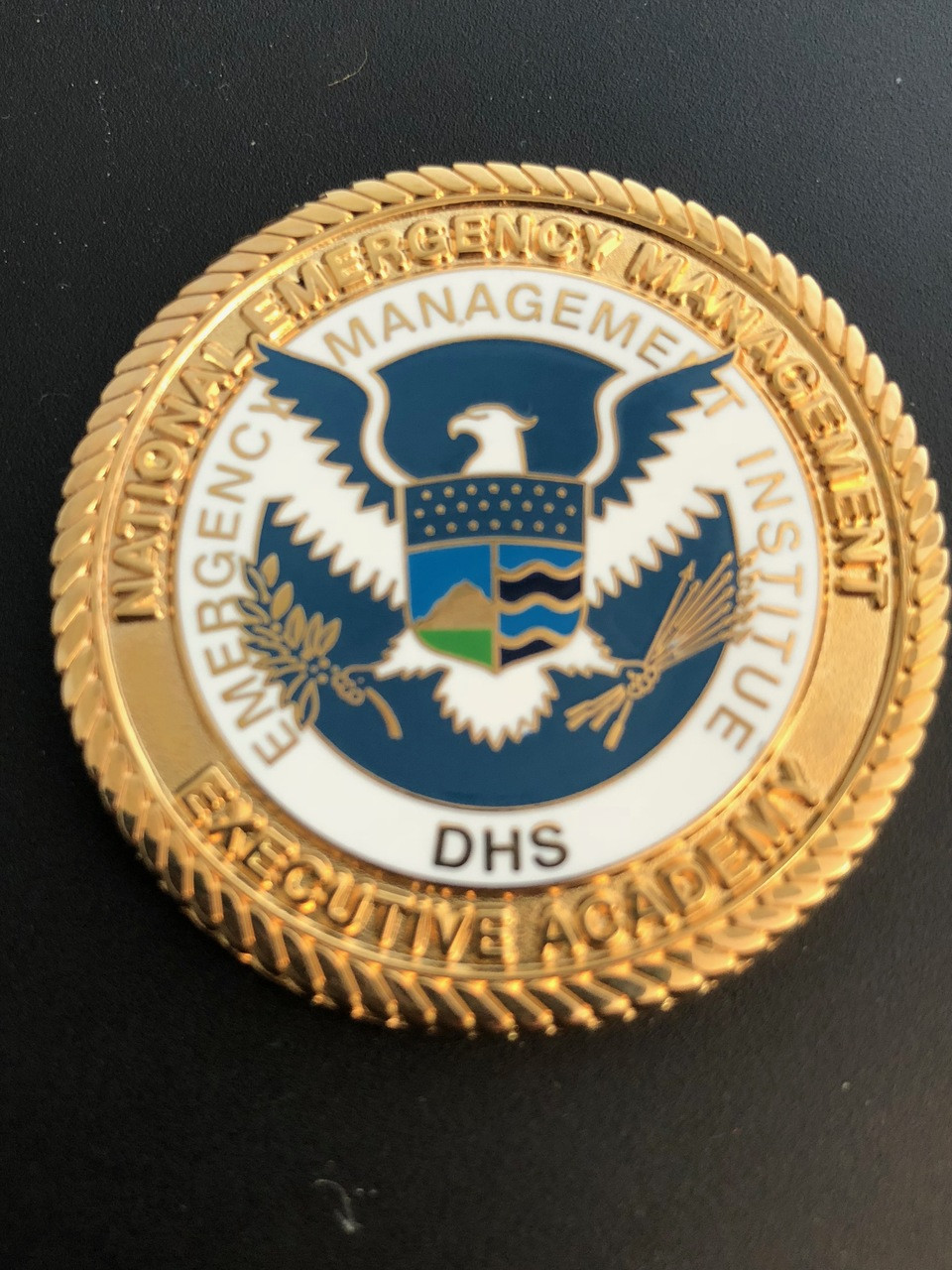 NATIONAL EMERGENCY MANAGEMENT EXECUTIVE ACADEMY CHALLENGE COIN