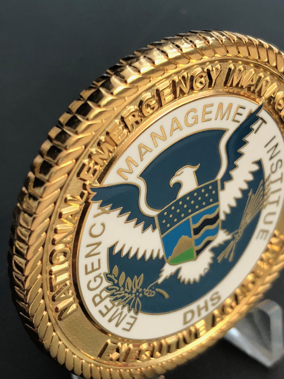 NATIONAL EMERGENCY MANAGEMENT EXECUTIVE ACADEMY CHALLENGE COIN