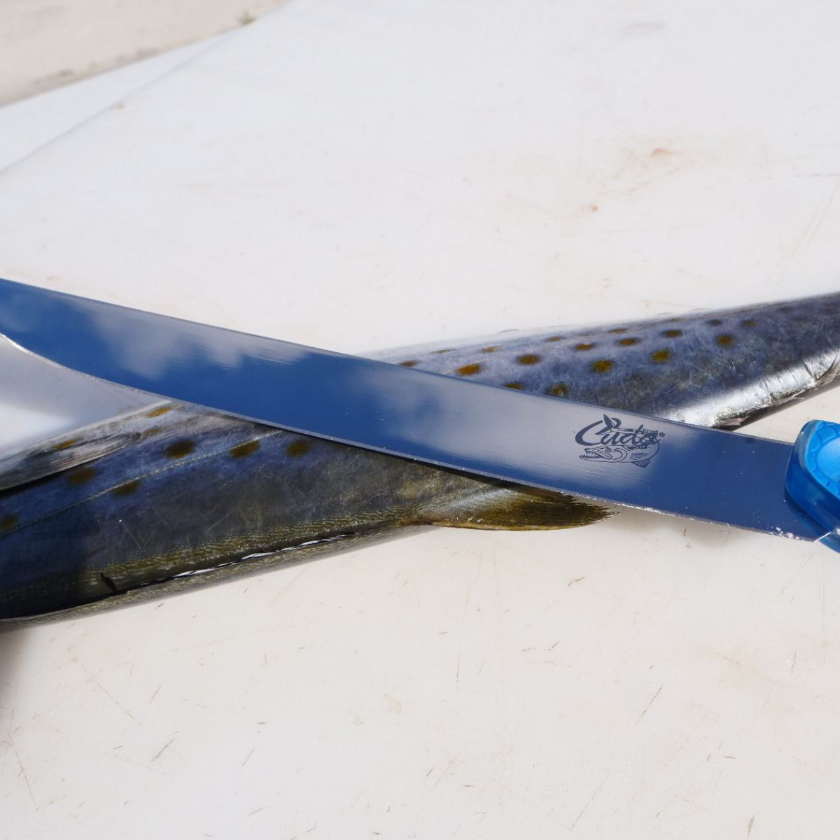 Cuda 10" Titanium Bonded Wide Fillet Knife | Outdoors Warehouse