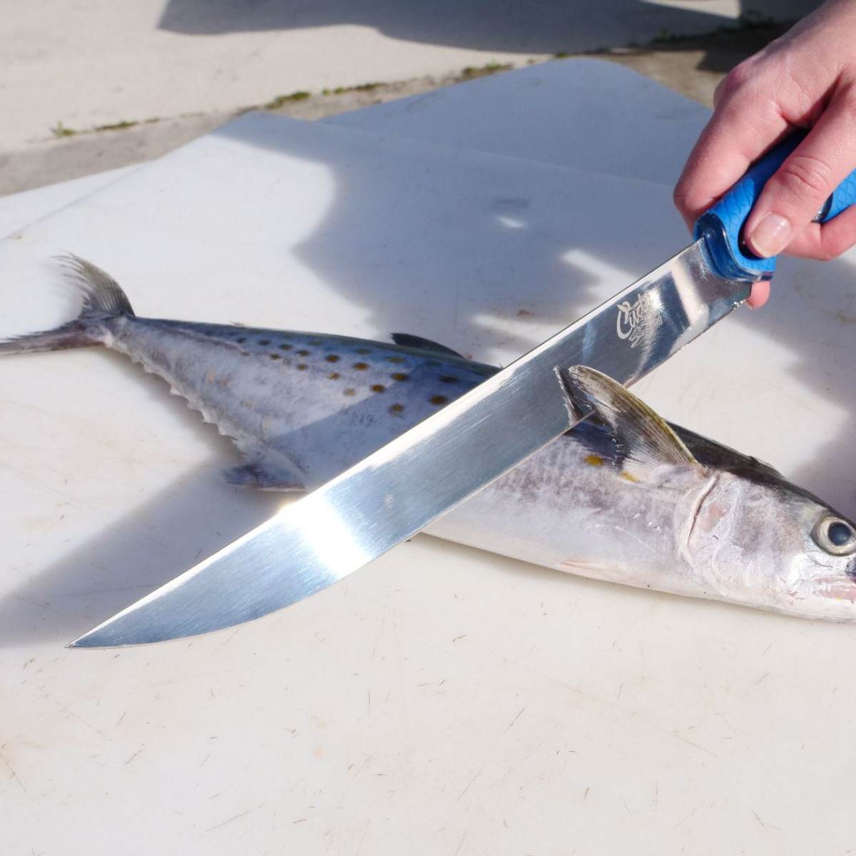 Cuda 10" Titanium Bonded Wide Fillet Knife | Outdoors Warehouse