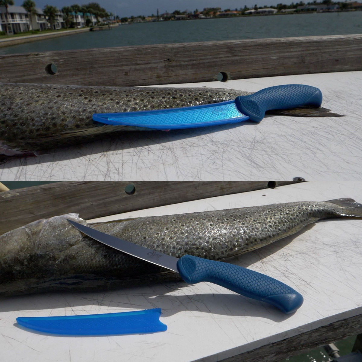 Cuda 6" AquaTuff Curved Boning Knife | Outdoors Warehouse