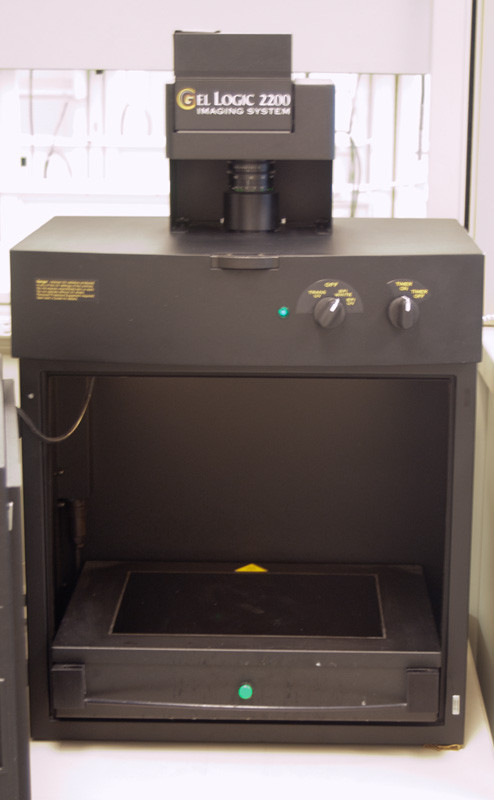 ~ Kodak Gel Logic 2200 Imaging System