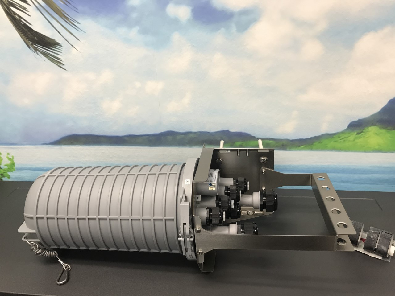 New Raycap Dc6-48-60-18-8F Surge Suppression System - SPW Industrial