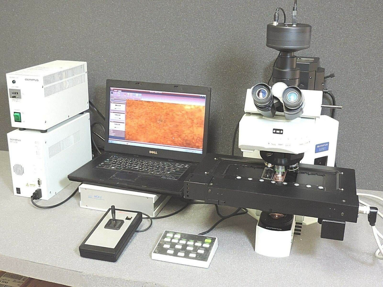 Olympus™ BX61TRF® Automated Flourescence Laboratory Microscope