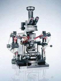 BX61WI/BX51WI Upright Fixed Stage Microscope