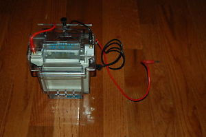 Buy - Invitrogen Novex XCell 2 trans-blot Cell Invitrogen gel II 2 blotting