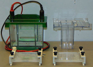 Buy - BIO-RAD 125BR MINI-PROTEAN II ELECTROPHORESIS CELL & CASTING ...