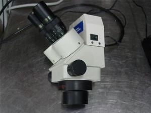 Buy - Fisher Scientific stereomaster Stereo video Microscope