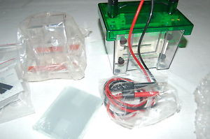 Buy - Bio-Rad vertical gel electrophoresis cell Protean 2 mini ...