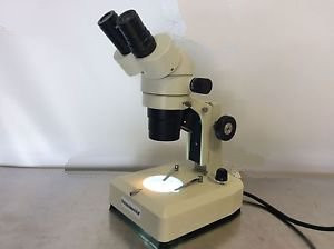 Buy -Fisher Scientific Fluorescent Stereo Microscope Cat. 1256211