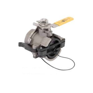 Buy - Banjo Dm200Dbsst - 2 Female X Bsp With Kalrez Seals, 150 Max Psi ...