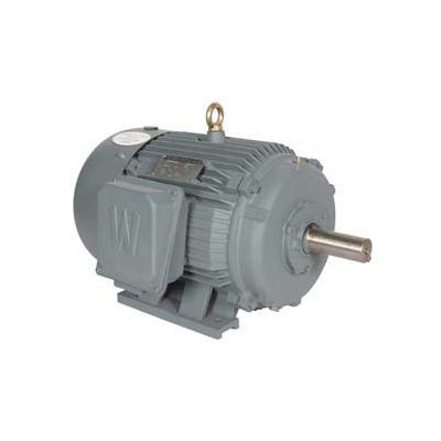 Worldwide Electric T-Frame Motor PEWWE150-18-445TBB, GP, TEFC, Rigid, 3 ...