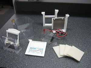 Buy - NOVEX XCELL II ELECTROPHORESIS CELL W/ EI9051 BLOT MODULE ...