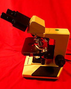 Buy - Professional Laboratory Fisher Micromaster 12-561B Microscope w/4 ...