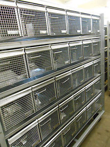Buy -ALLENTOWN CAGING CO. 60 CAGE, RODENT / SMALL ANIMAL HOUSING UNIT. #3