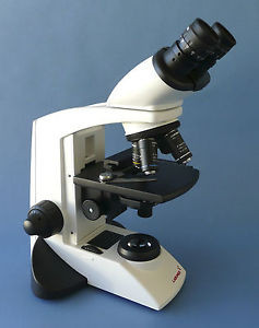 Buy -Solid performer -Labomed NEW CXL BINOC MICROSCOPE 4X, 10X, 40X ...