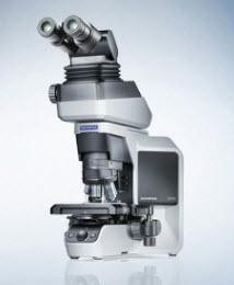 Olympus BX46 Upright Microscope