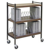 Omnimed® Standard Vertical Open Chart Rack, 20 Binder Capacity ...