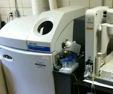 ICP-MS Bruker 820-MS