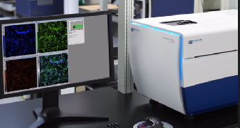 ImageXpress Micro Confocal High-Content Imaging System