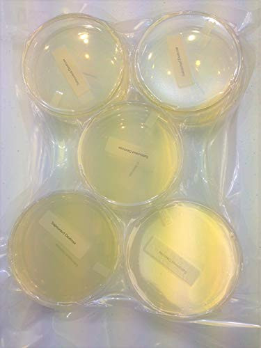 Sabouraud Dextrose Agar (SDA), (10-Pack), Pre-Poured, Flat-Packed ...