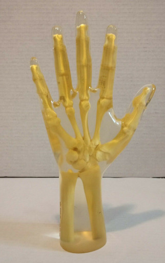 X-RAY TRANSPARENT Hand / Wrist PHANTOM "Good Condition" - SPW Industrial