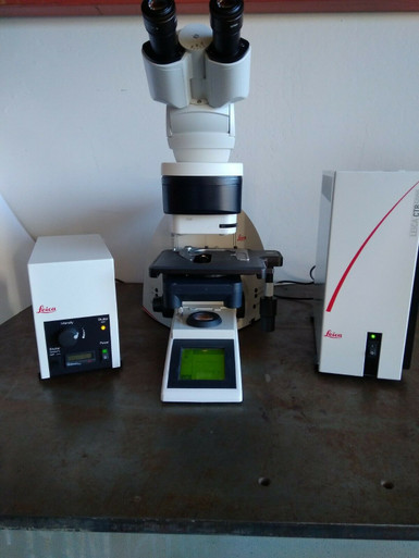 Leica Dm5000 B Microscope Dm 5000