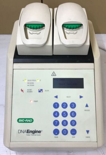 Shop Bio-Rad Dna Engine Peltier Thermal Cycler Ptc0200 With Alpha Block ...