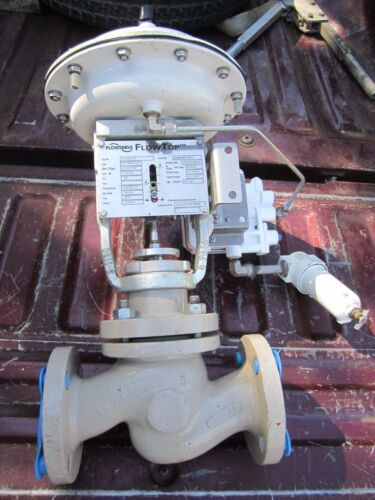 Shop Flowserve Flowtop 2" Valve With Actuator backed by a 1-year ...