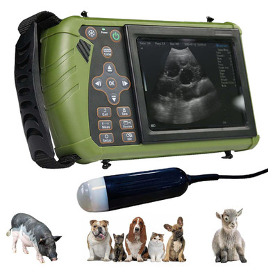 New Veterinary Ultrasound System, Portable Vet Ultrasound Machine Scanner
