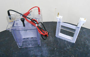 Buy - NOVEX XCELL II ELECTROPHORESIS CELL WITH EI9051 BLOT MODULE ...