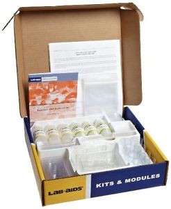 Buy - Lab-aids 79 89 Piece Strawberry Dna Extraction Kit
