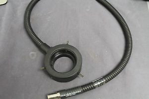 Buy - Microscope Fiber optic ring light with 36 inch cable