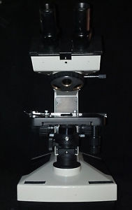 Buy - Parks po- 500 Microscope Electric 005500 Missing Magnification ...