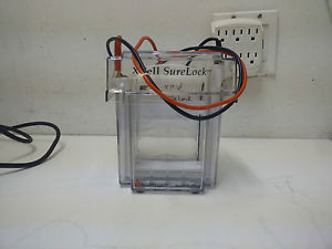 Buy - Life Technologies Invitrogen Xcell SureLock Mini-Cell ...