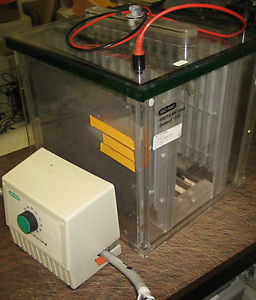 Buy - BIO-RAD Protean Plus Dodeca Cell with Buffer Recirculation Pump