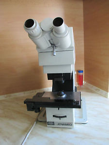 Buy -Microscope carl zeiss jena - Jenamed variant
