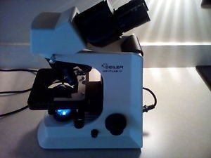 Buy -Seiler Westlab III Binocular Microscope
